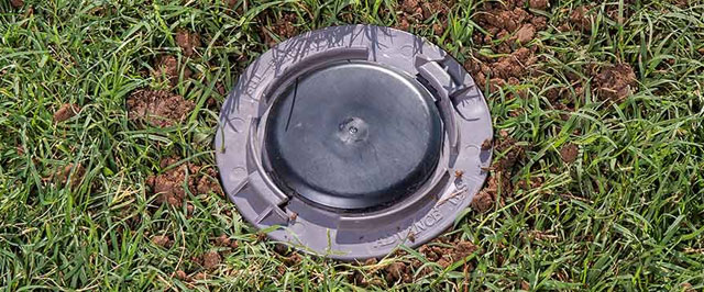 Advance and Firstline Termite Bait Systems, Termite Bait Kits