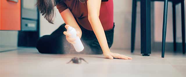 Apartment Pest Control for Tenants | Get rid of apartment pests