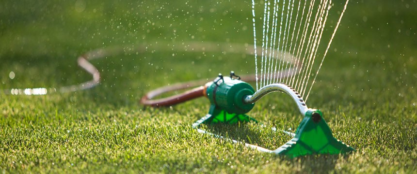 Brown Patch Prevention Guide | How to Prevent Brown Patch In Your Lawn