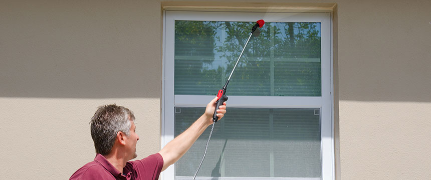 How to Get Rid of & Kill Carpenter Ants - Carpenter Ant Treatment