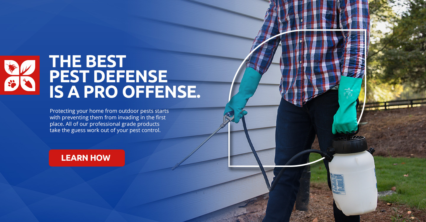 Be Prepared Like a Pest Pro with DoMyOwn.com