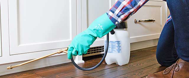 Getting Started with DIY Pest Control