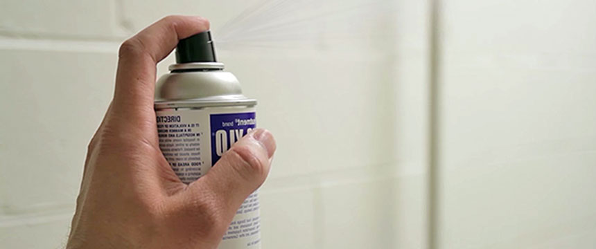 How to Get Rid of & Kill Drain Flies - Treatment & Control Guide