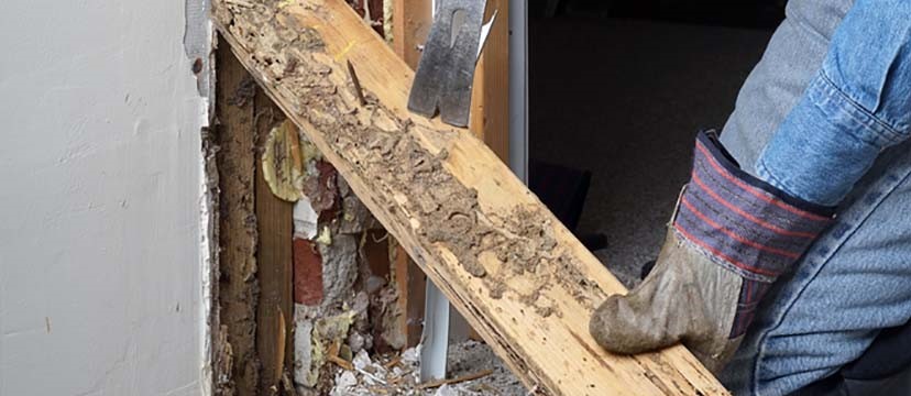 Dry Rot Repair, Rotted Wood Repair, Wood Rot Repair