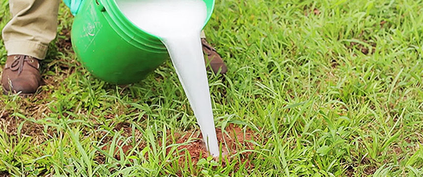 How To Get Rid Of And Kill Fire Ants Fire Ant Treatment Guide