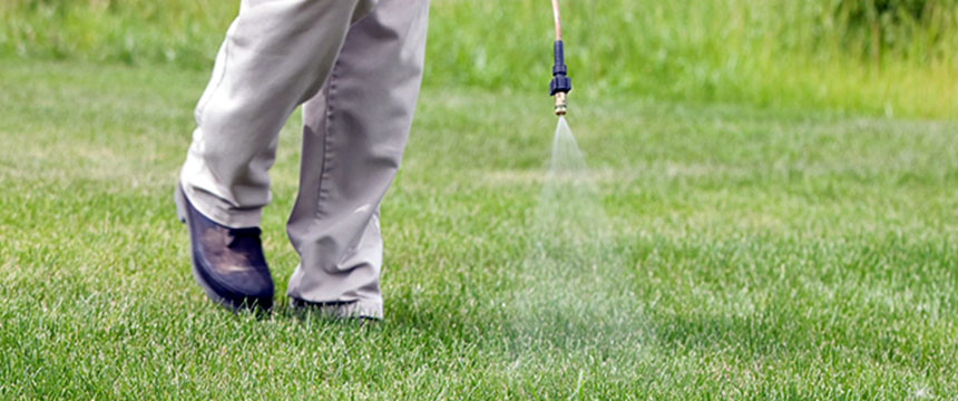 How to Get Rid of & Kill Ticks: A Step-By-Step Guide