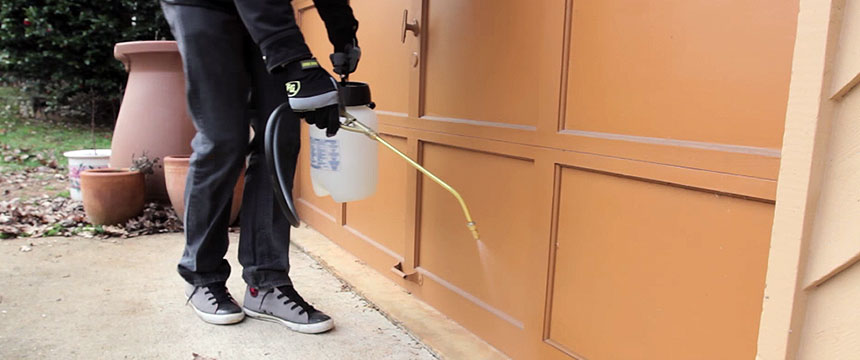 Boxelder Bug Prevention Guide | DIY Home Pest Control