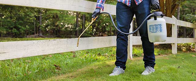 What are Herbicides?