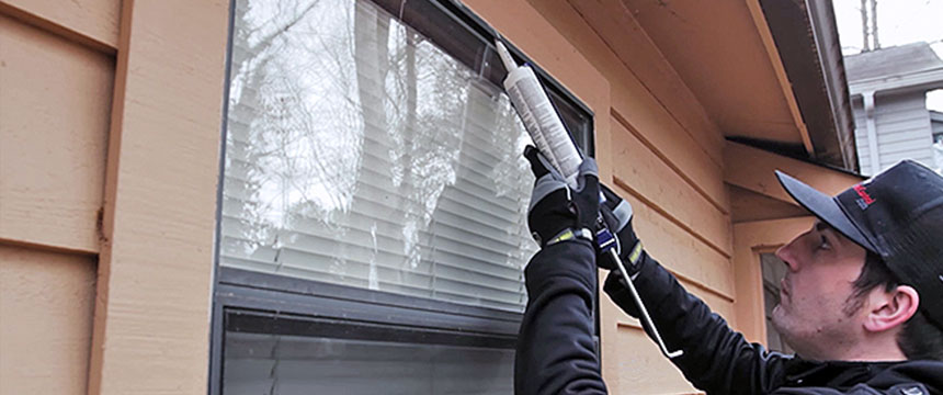 Rat Prevention - How to Prevent Rats