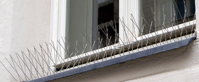 Roost Inhibitors, Roost Inhibitor