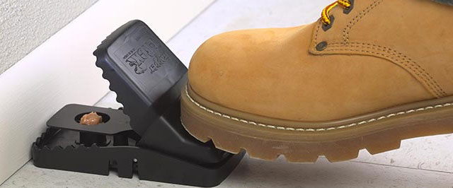 Snap Traps 101, snap mouse trap, snap trap, snap rat trap