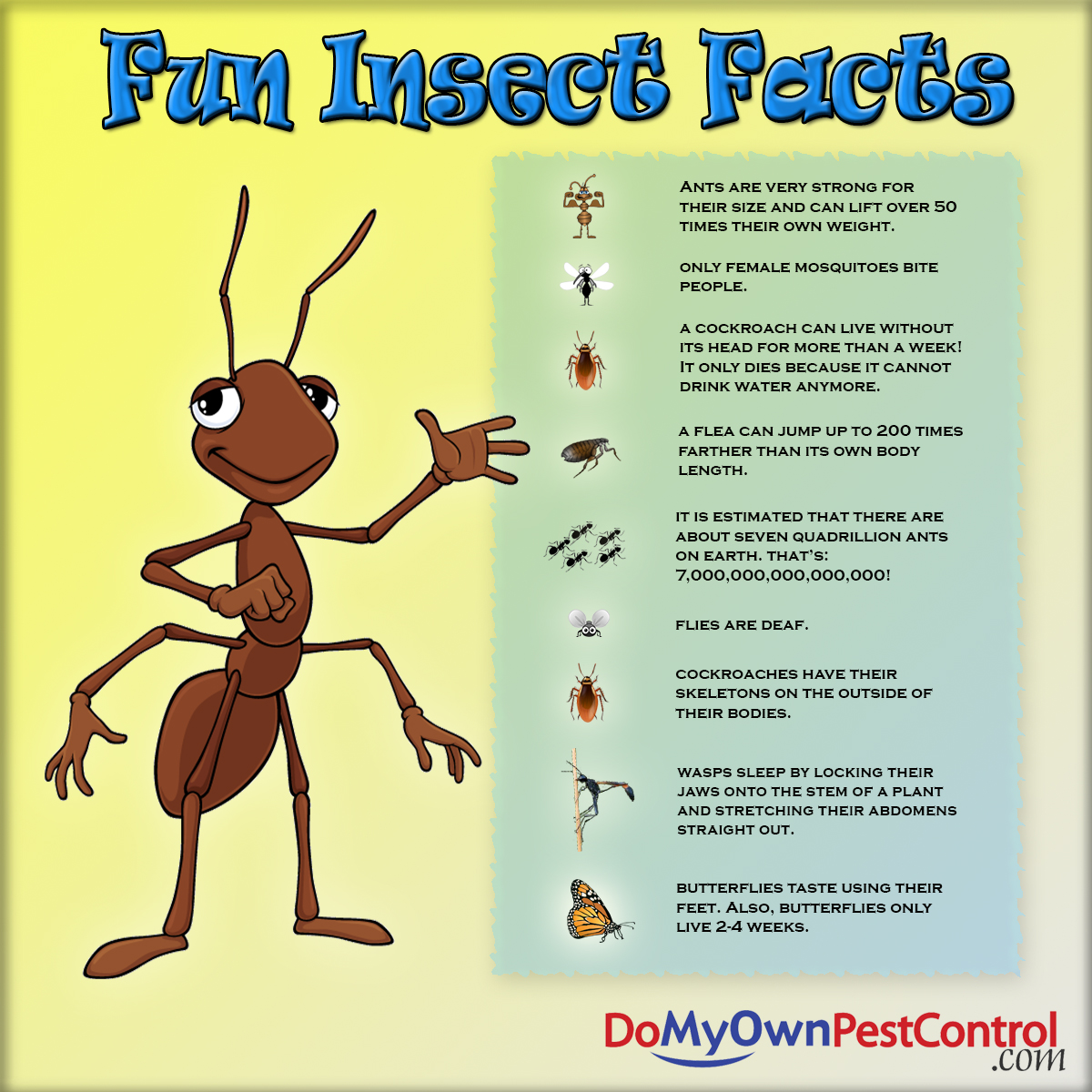 Bug Games For Kids Fun Learning Insect Games For Kids Do My Own Bug Games For Kids Fun Learning Insect Games For Kids Do My Own